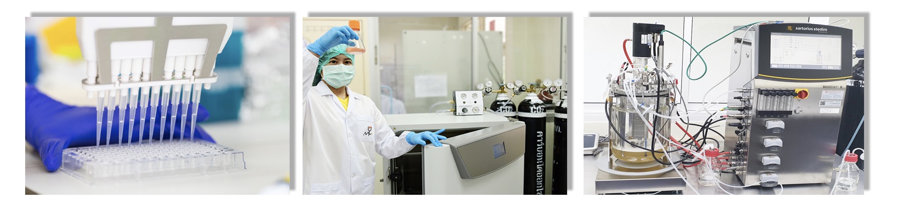 Services | MYLAB @ SUT